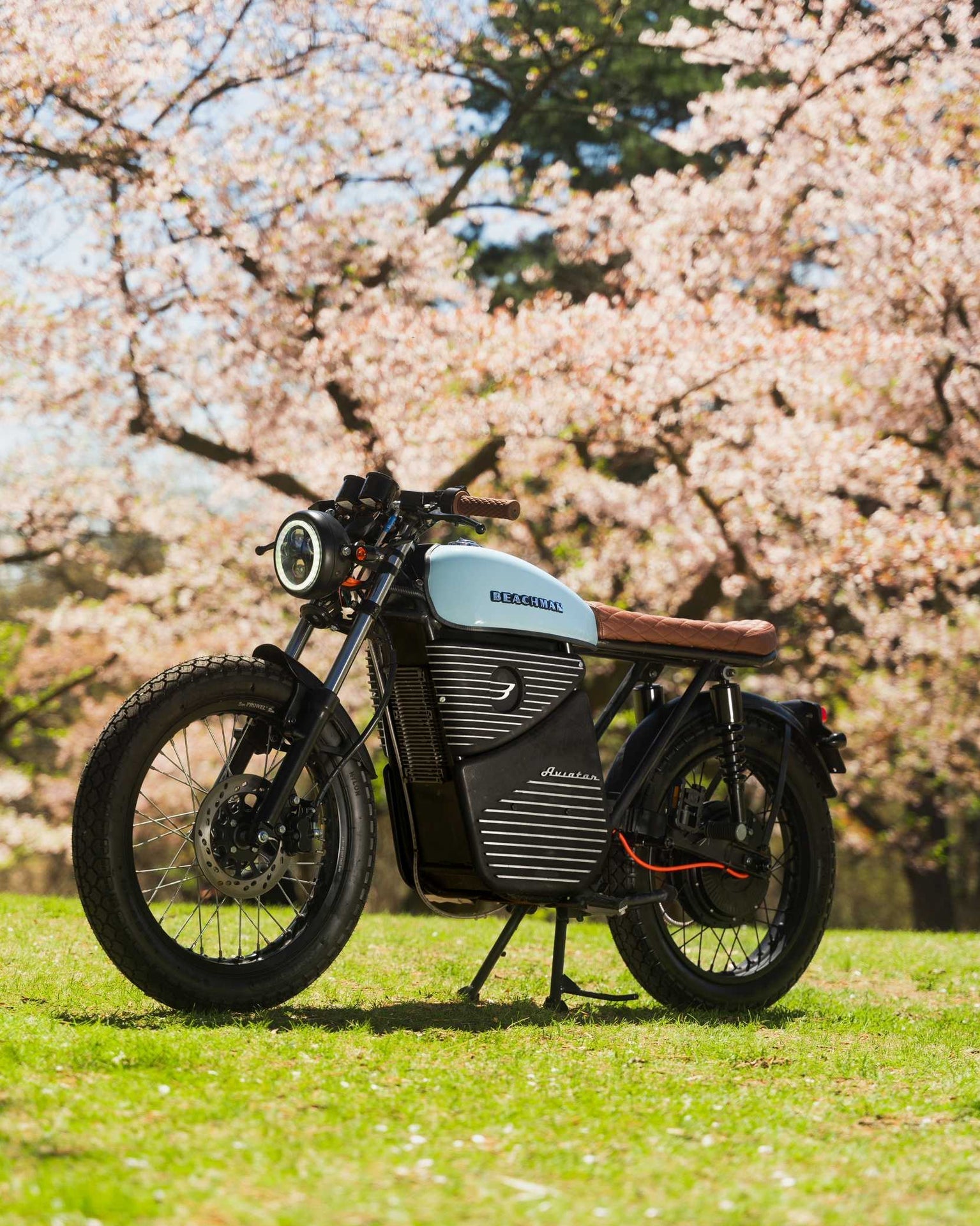 Aviator Preorder – Beachman America